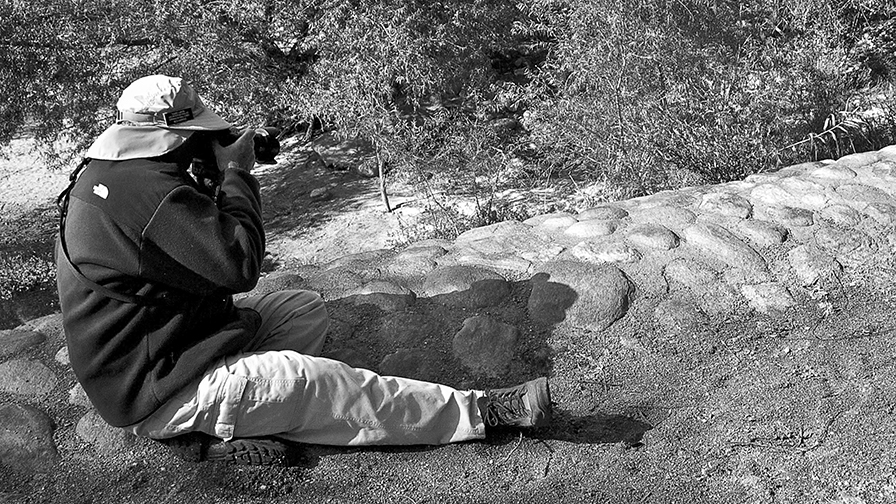 Ned Harris — Nature and Aviation Photographer | Becoming is Superior to ...