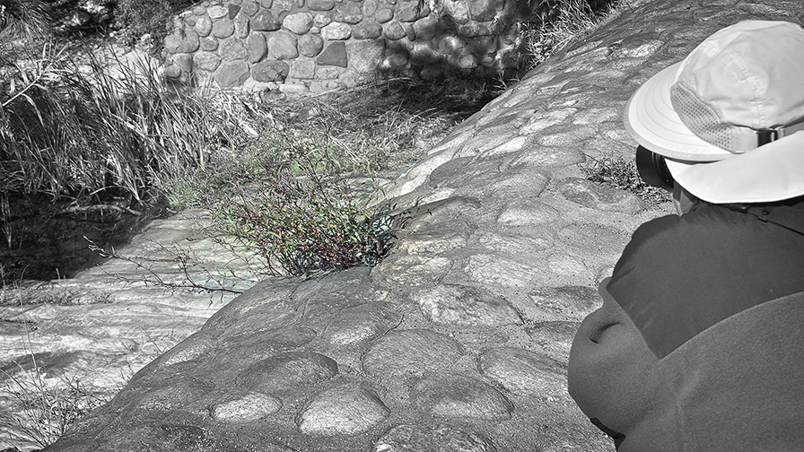 Ned Harris — Nature and Aviation Photographer | Becoming is Superior to ...