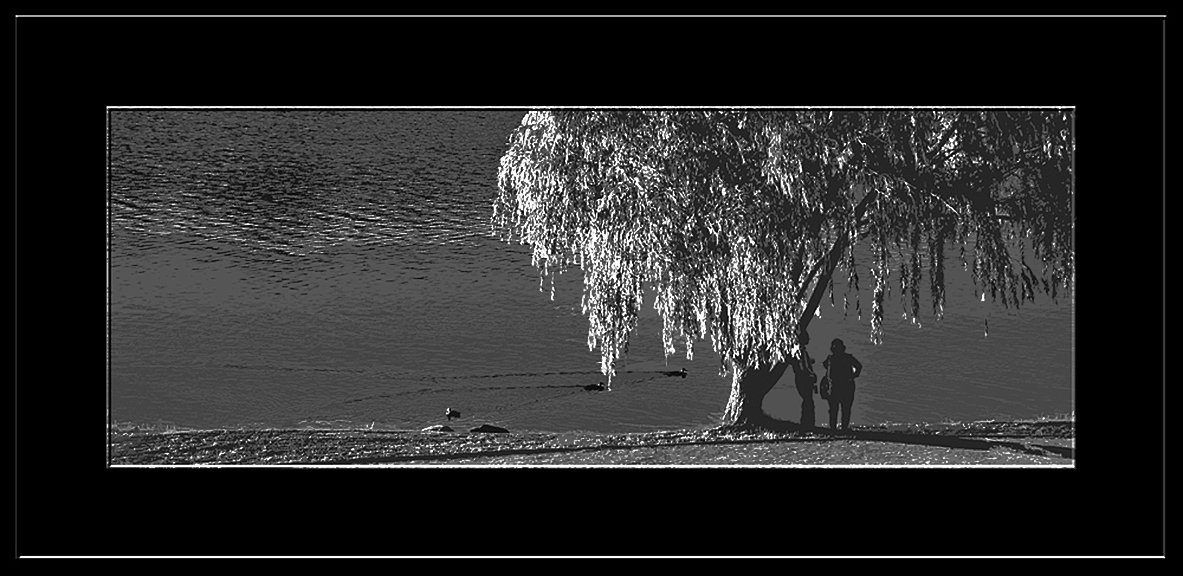 The Tree Of Forgiveness — Revisited | Becoming is Superior to Being