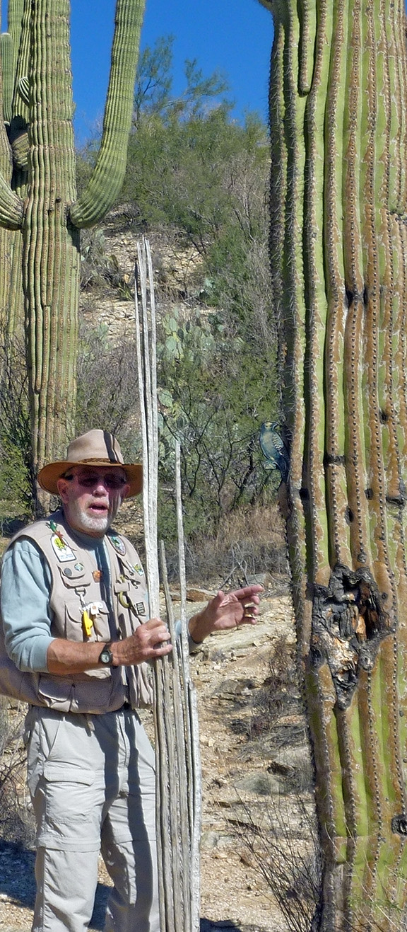 Capturing The Moment — Saguaro Ribs | Becoming is Superior to Being