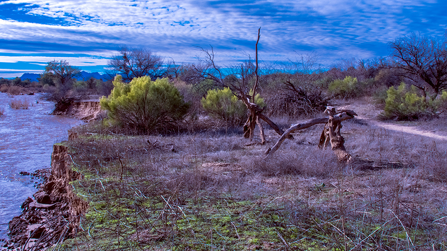 Water’s Running In The Tanque Verde Wash | Becoming is Superior to Being