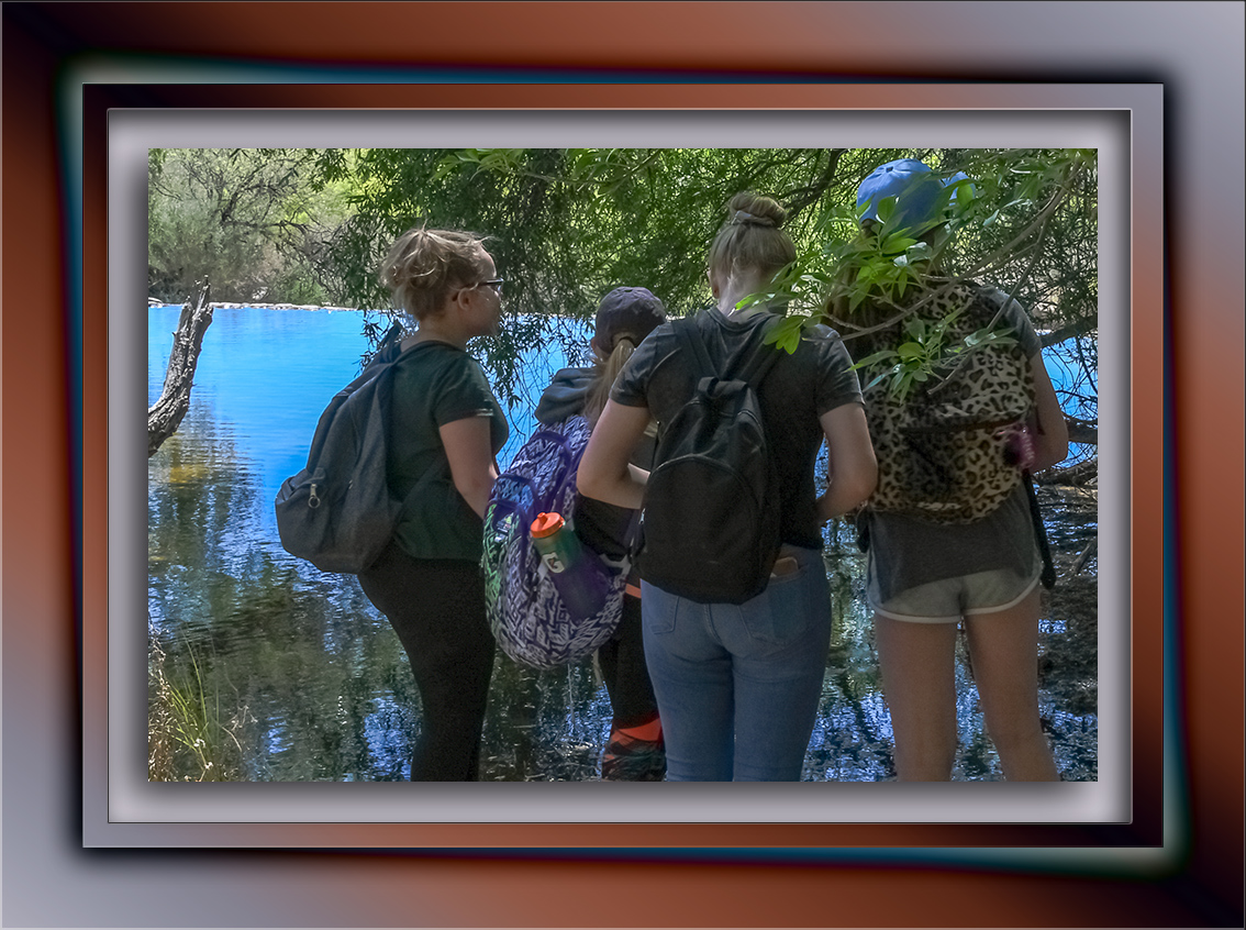 Nature Photography For Middle School Students | Becoming is Superior to ...
