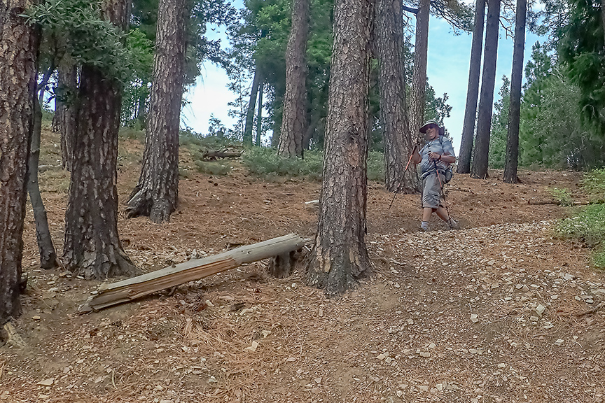 Hiking The Box Camp Trail — A Photo-Essay Adventure | Becoming is ...