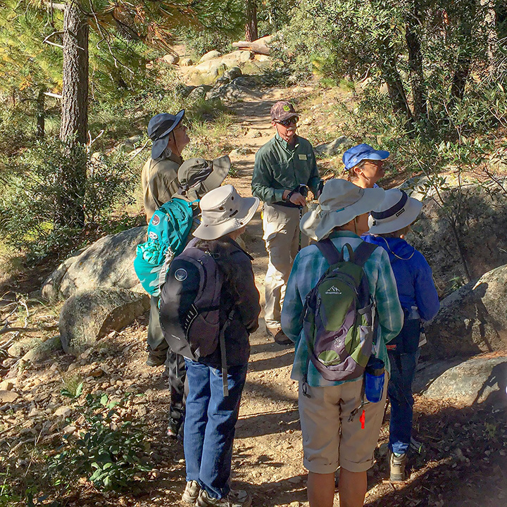 Box Camp Trail Nature Hike | Becoming is Superior to Being
