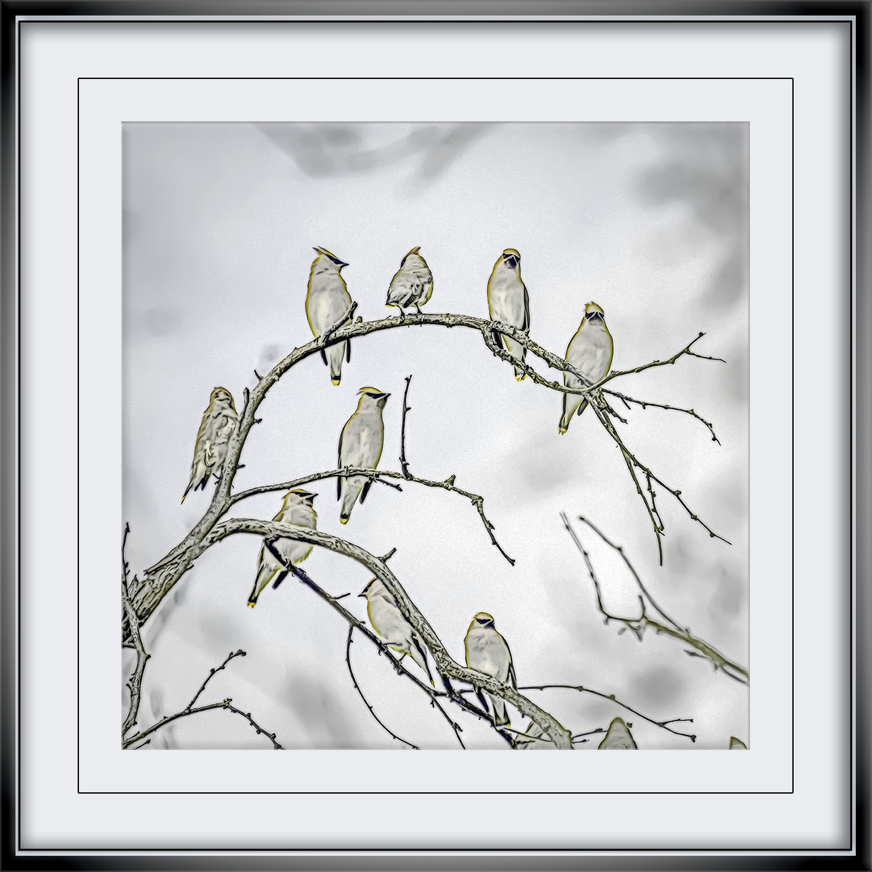 A Flight Of Small Cheeping Birds | Becoming is Superior to Being