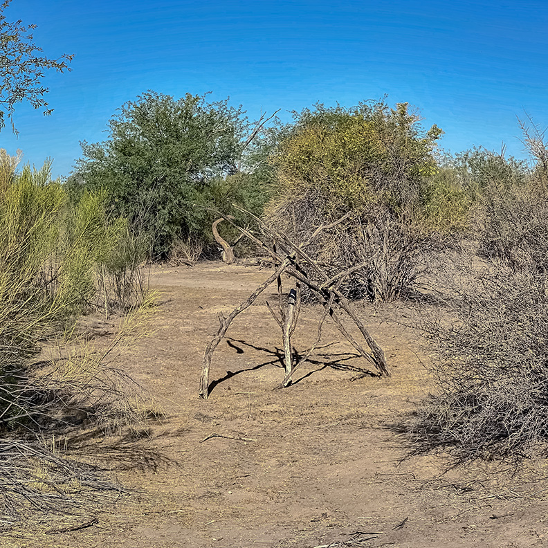 Tanque Verde Wash Art — Photo-Essay | Becoming is Superior to Being