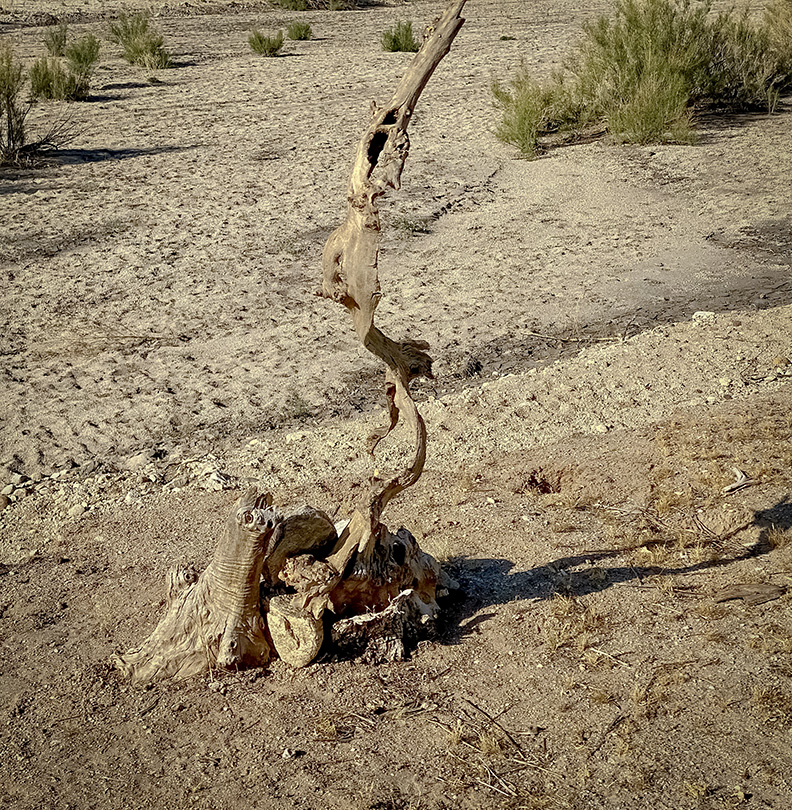 Tanque Verde Wash Art — Photo-Essay | Becoming is Superior to Being