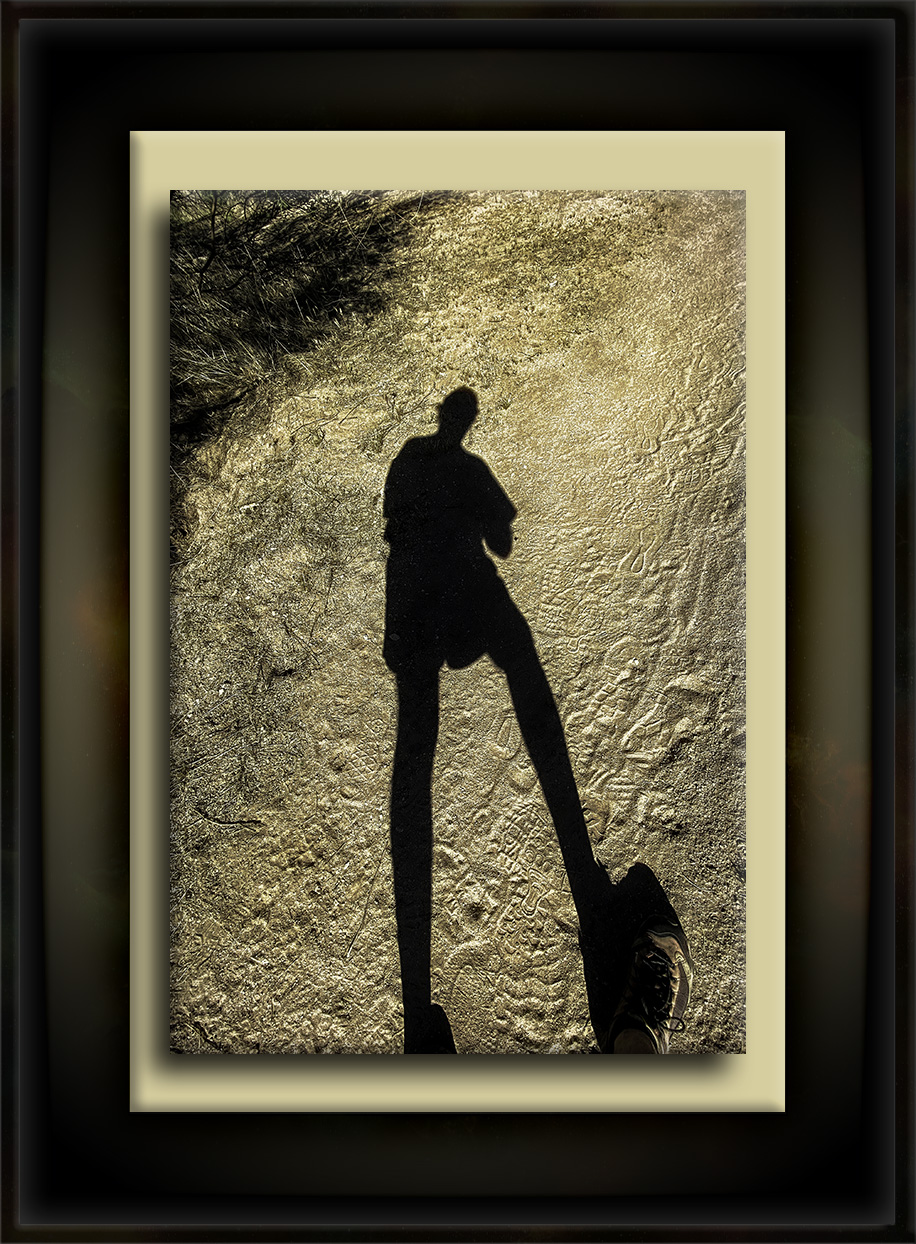 Morning Walk On The Tanque Verde Wash Trail | Becoming is Superior to Being