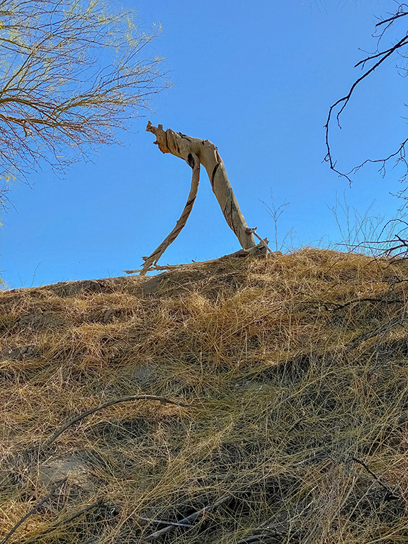 Tanque Verde Wash Trail- Photo Essay | Becoming is Superior to Being