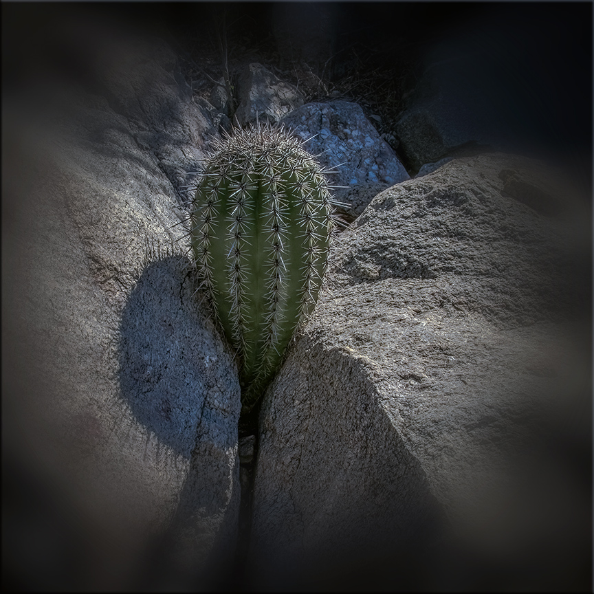 Caught In A Pinch | Becoming is Superior to Being