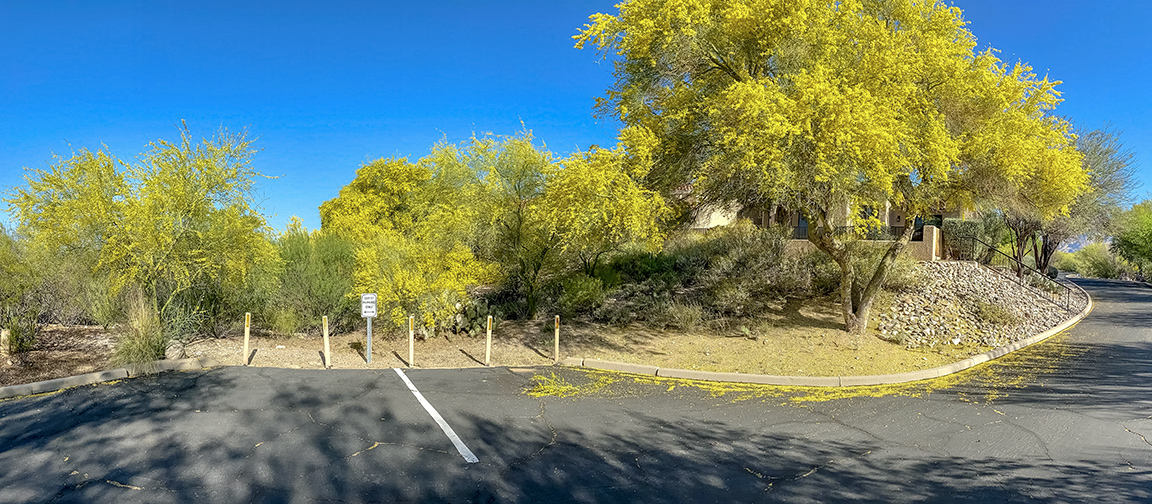 Yellow Is The Color Of Our Neighborhood | Becoming is Superior to Being