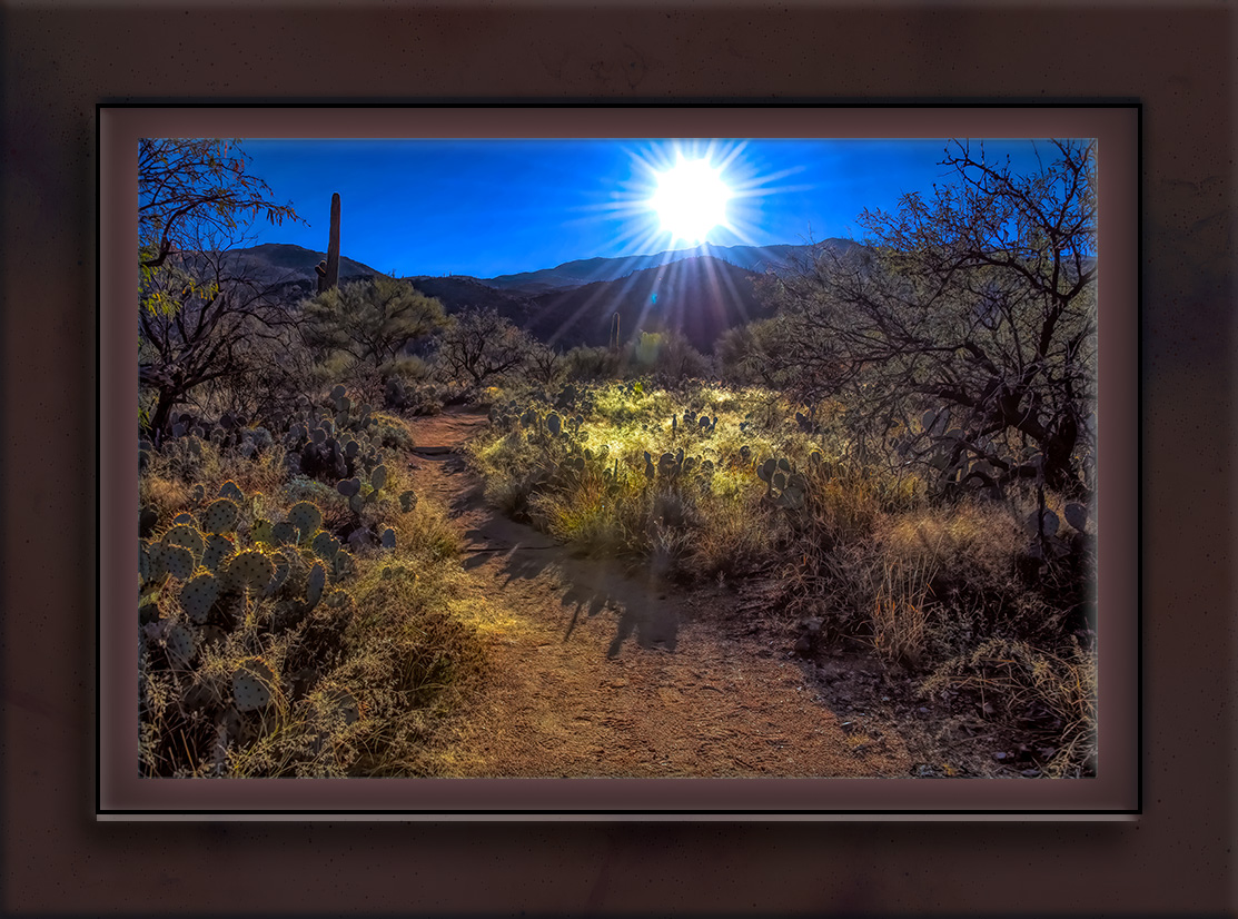 Douglas Spring Trail | Becoming is Superior to Being