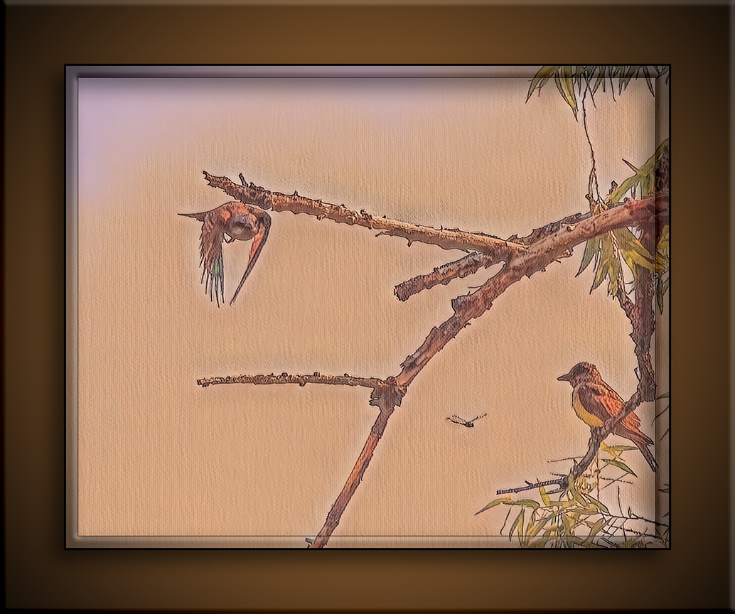 Albert’s Towhee Art | Becoming is Superior to Being