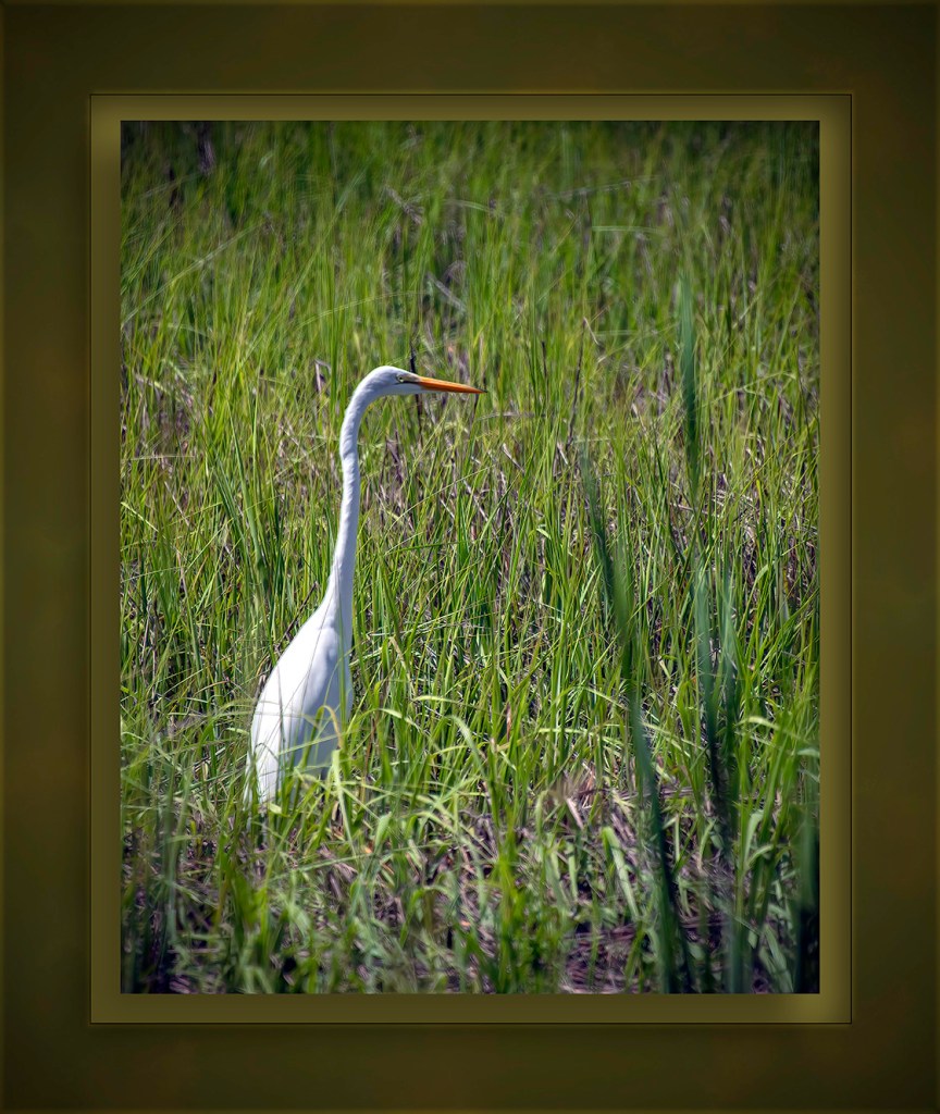 Nature Does Nothing In Vain | Becoming is Superior to Being