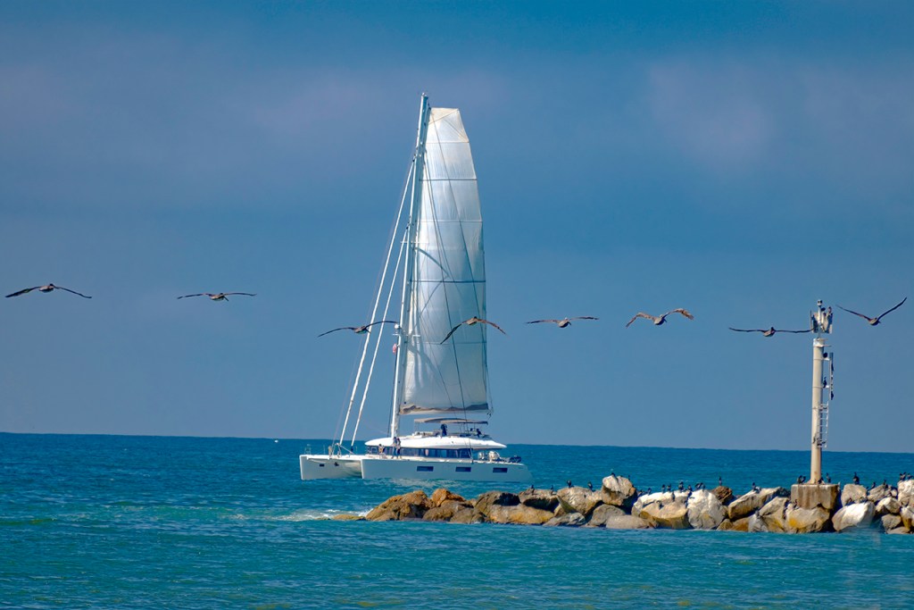 Catamaran Near The Coast | Becoming is Superior to Being
