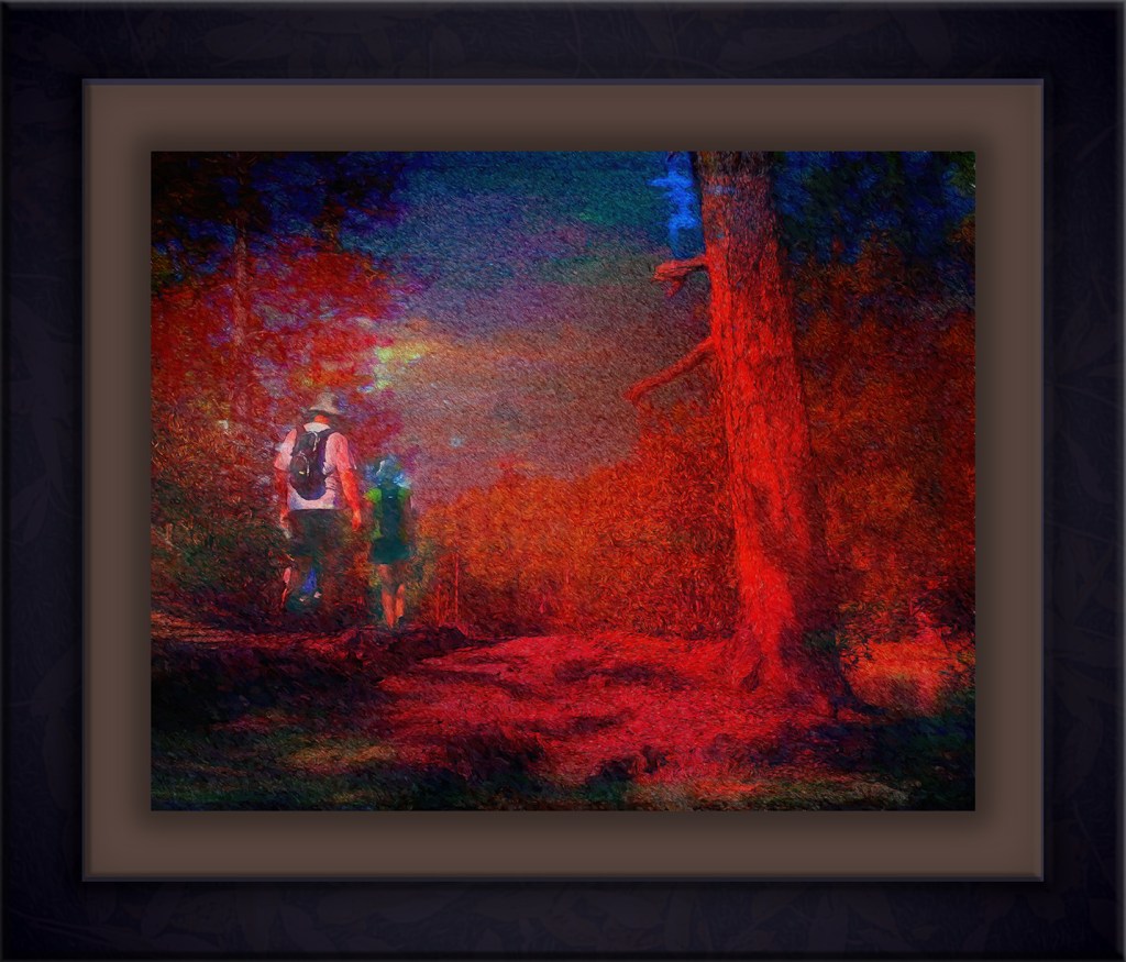 Exploring the Rose Lake Trail: A Poetic Journey | Becoming is Superior ...
