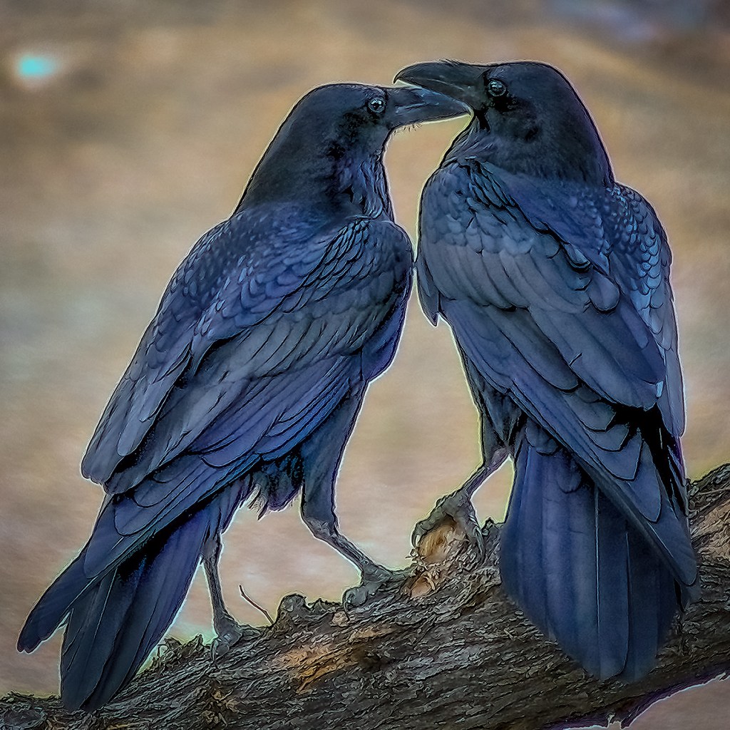 The Raven Always Listens | Becoming is Superior to Being