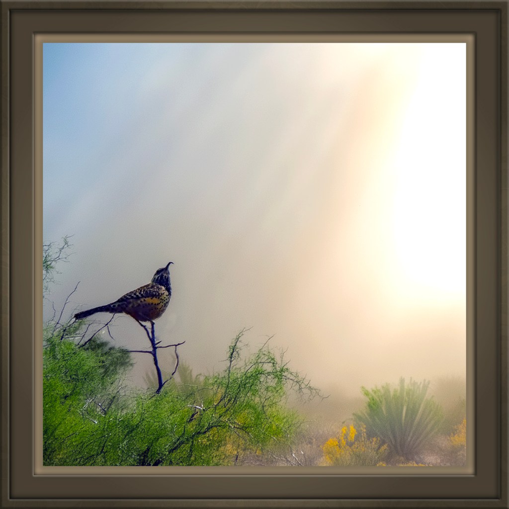 Sonoran Desert Storm | Becoming is Superior to Being